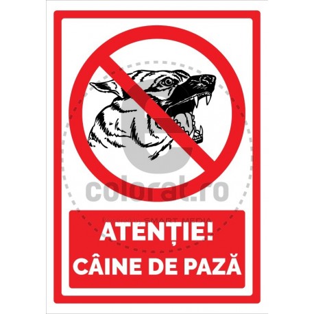 Atentie Caine de Paza